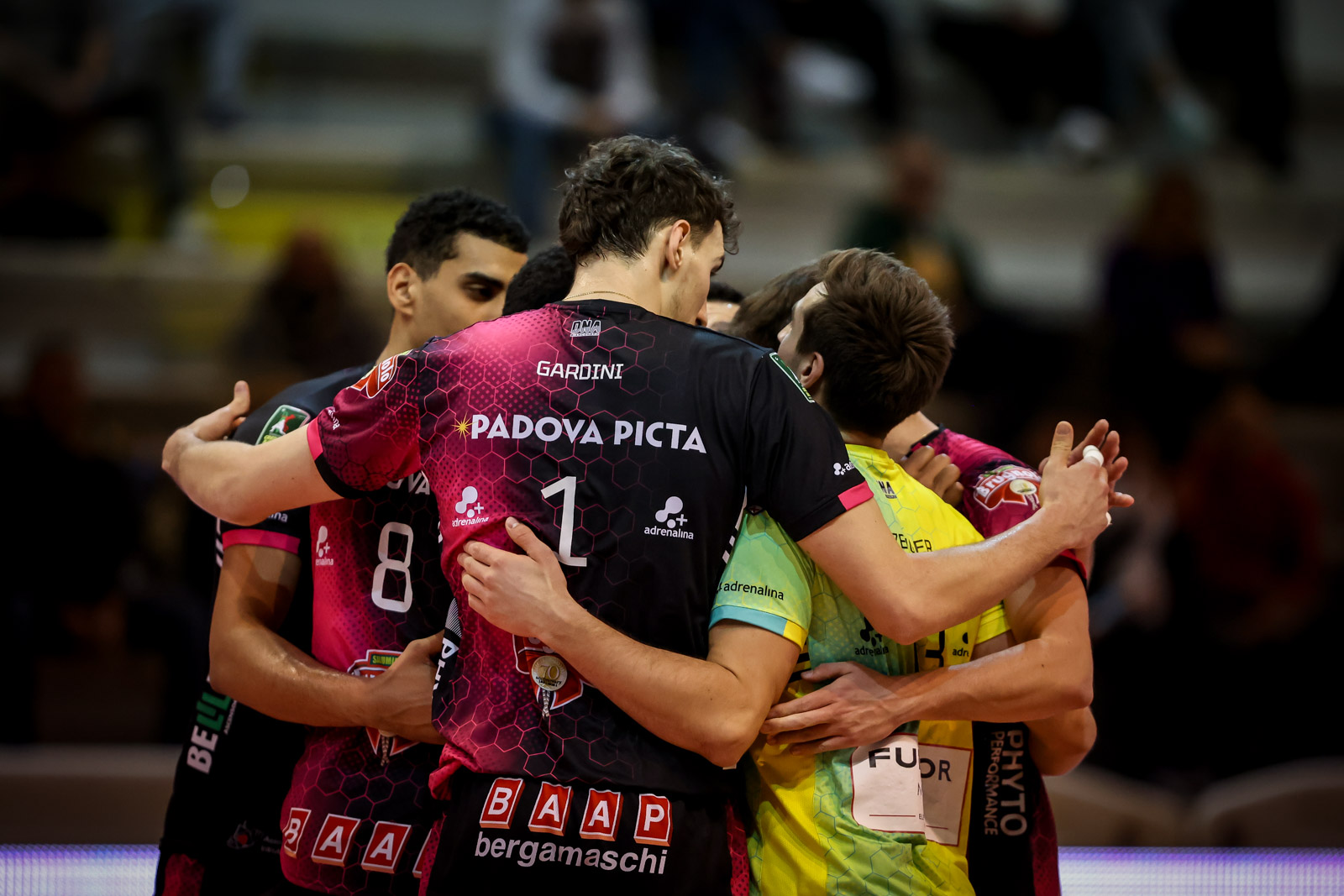 Cisterna Volley - Pallavolo Padova: 3-1 - Pallavolo Padova Cisterna Volley - Pallavolo Padova: 3-1 - Pallavolo Padova
